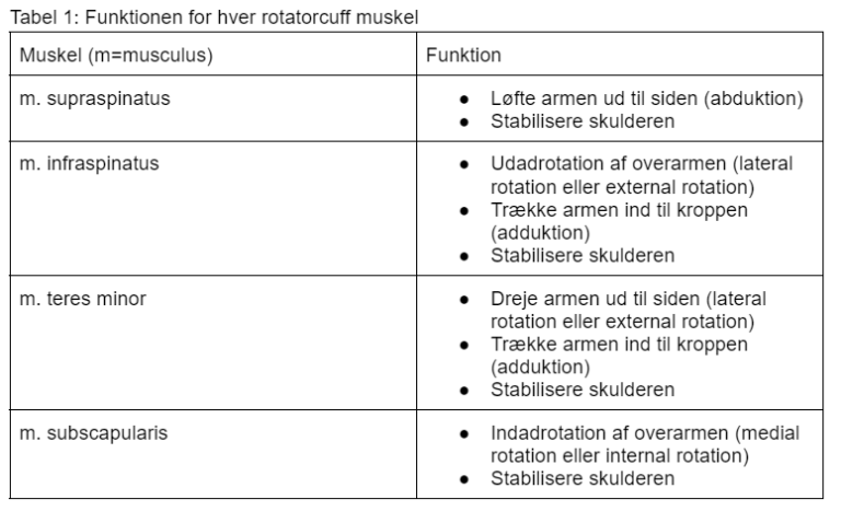 Rotator cuff læsion og skuldersmerter - Nyeste viden om behandling