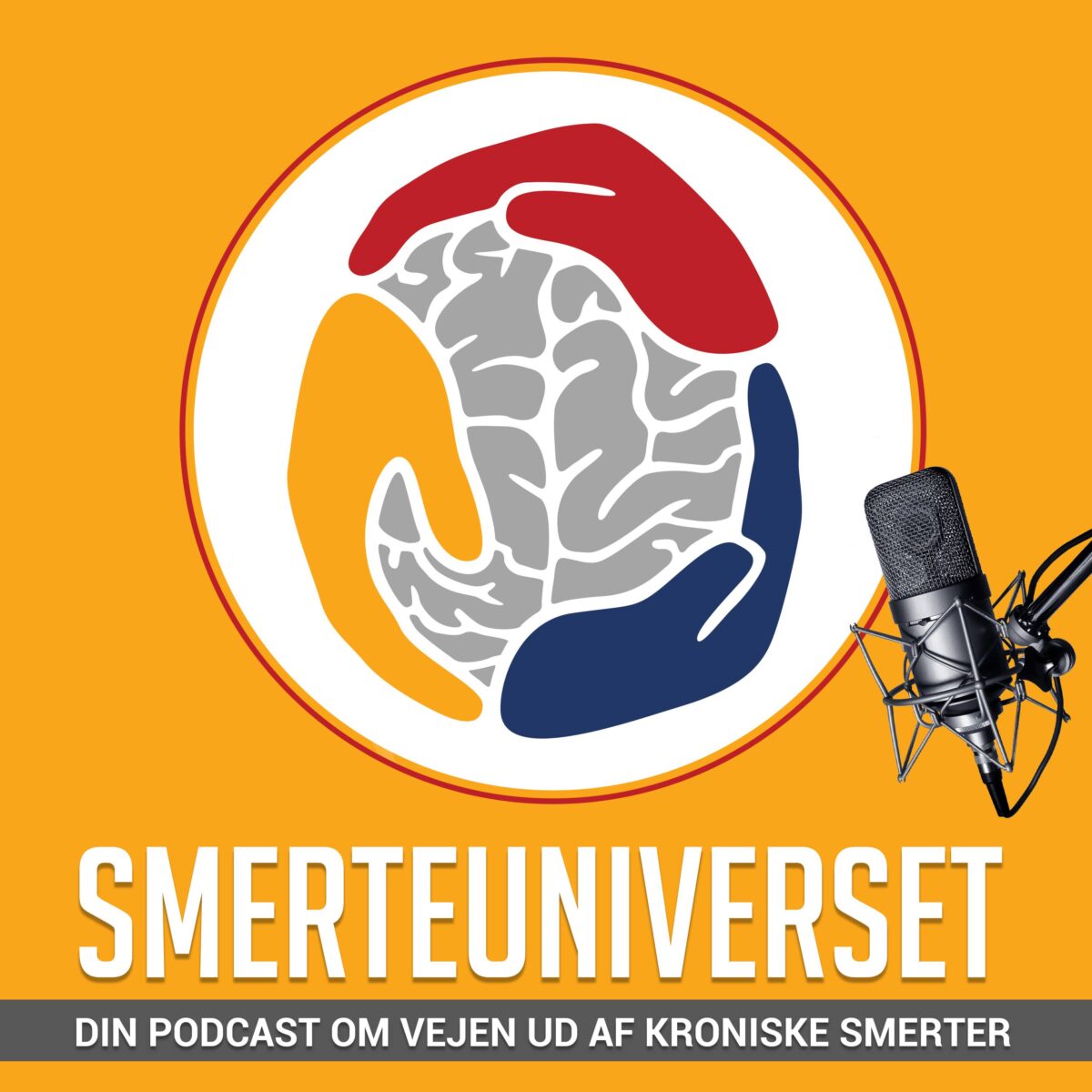 EPISODE 50 - Kroniske smerter: Hvorfor opstår de og hvordan kan de behandles? - Smertevidenskab